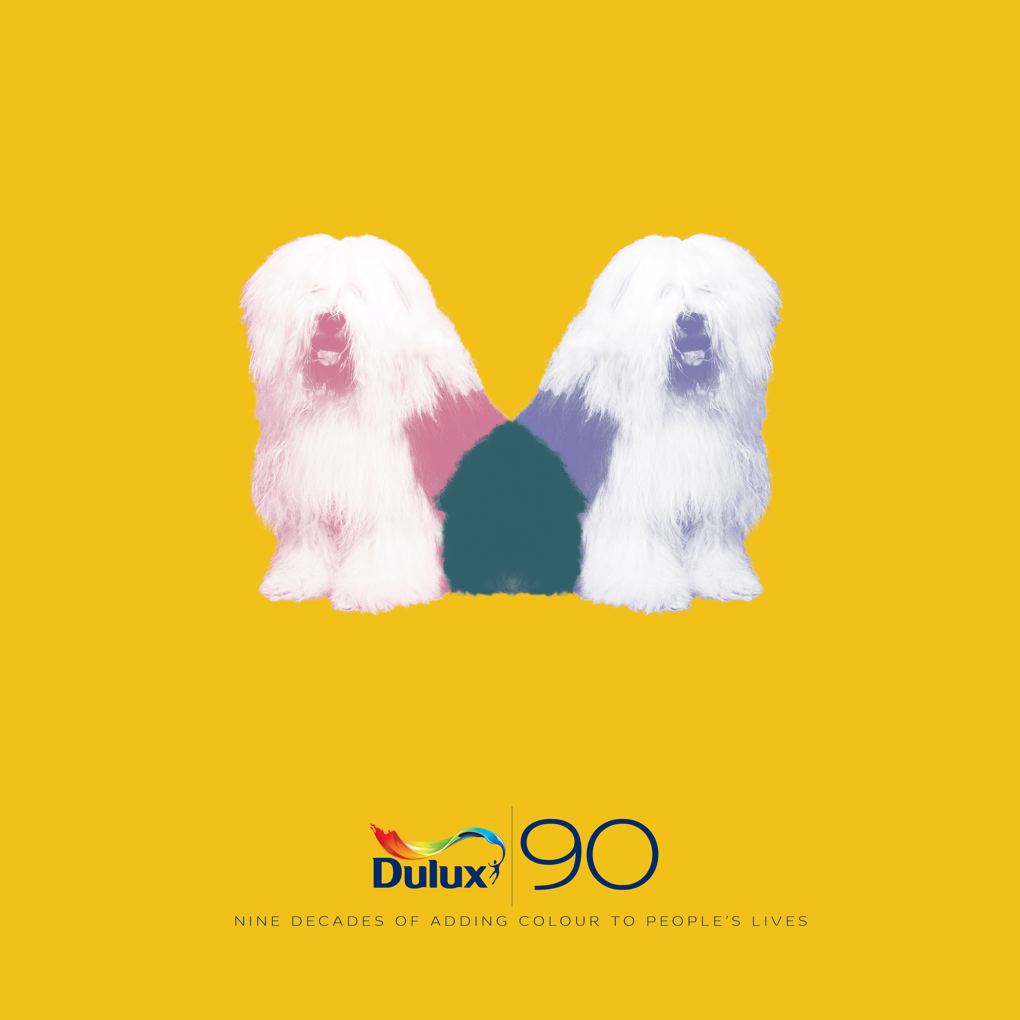 Celebrating 60 Years of the Dulux Dog | Old English Sheepdogs | Dulux